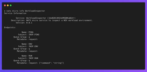 Introducing Workloads Nats Native Distributed Compute Synadia