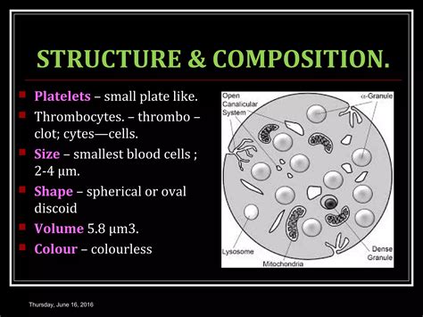 Platelets Ppt