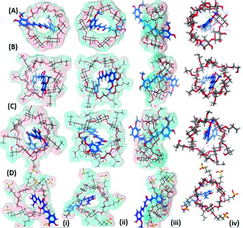 3d Poses For Curcumin Docked Into The Inclusion Pocket Of A Download Scientific Diagram