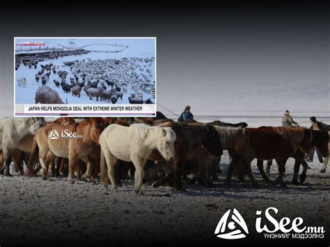 БИДНИЙ ТУХАЙ Зудын хүндрэлийг давахад нь зориулж Монгол руу хөнжил цахилгаан үүсгүүр зэрэг