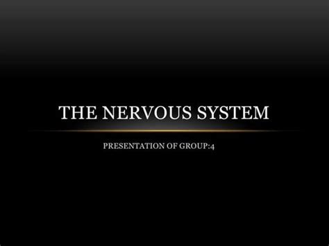 The Human Brain Its Parts And Functions Ppt