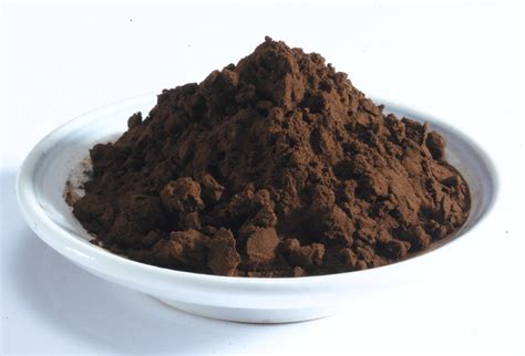 차가버섯분말 먹는방법 효능 10배 높이기 총정리 네이버 블로그