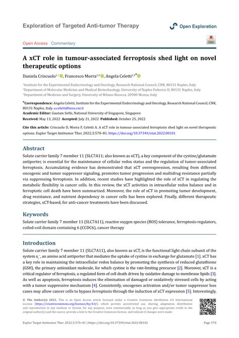Pdf A Xct Role In Tumour Associated Ferroptosis Shed Light On Novel