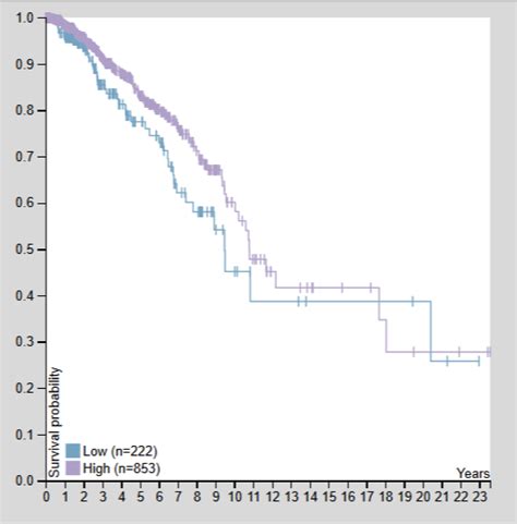 Performing Data Mining And Integrative Analysis Of Biomarker In Breast