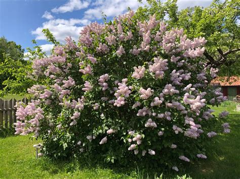 tobias lindahl on linkedin i join in on the happi hacking ab blog so that erik happi stenman