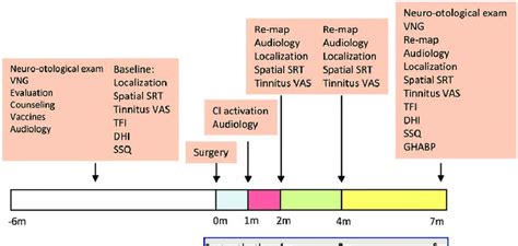 Timeline For The Experimental Protocol Download Scientific Diagram