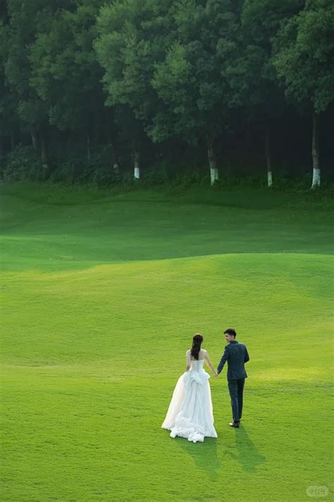 一秒心动 ️都给我去拍草坪婚纱照！