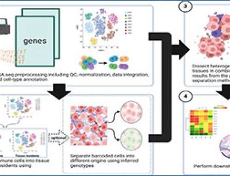 Scode An Efficient Regulatory Network Inference Algorithm From Single Cell Rna Seq During