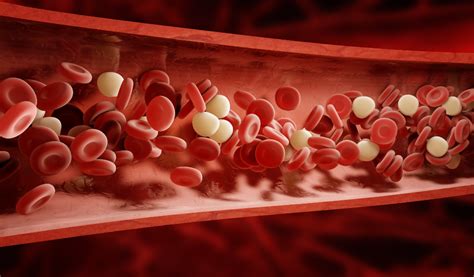 Disfagia O Que é Quais As Causas E Como Tratar