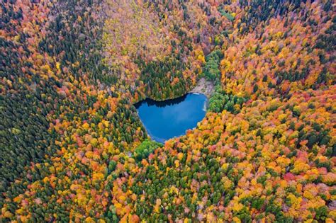 ბატეთის ტბა ძამას ხეობა ოქტომბერი კვირა შიდა ქართლი 0 Gel მიქს თრეველ ჯორჯია
