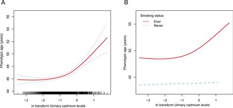 The Nonlinear Associations Between Urinary Cadmium And Phenotypic Age Download Scientific