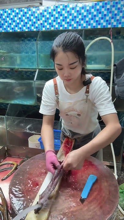 菜市场 卖鱼人 每天起床的钟声敲响，就到了挣钱的时刻，不努力，难以维持生计，不干活就没有饭吃谁不是把自由卖了，换成了柴米油盐，生于人间各有各的