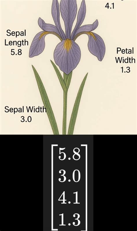 【ai概念】特征向量（eigenvector）与特征值（eigenvalue）是什麽？他们有什么区别？各自在机器学习中担任什么样的角色