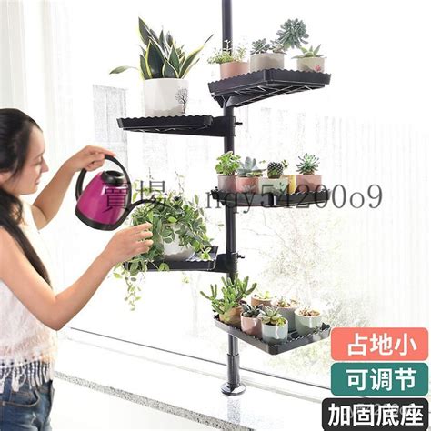 飄窗花架 頂天立地花架 多層花架室內 陽臺省空間綠蘿多肉花盆架 窗臺花架子 6bq5 蝦皮購物
