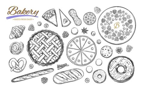 베이커리 및 빵 벡터 컬렉션입니다 과일과 열매를 곁들인 다양한 종류의 패스트리와 케이크 개체 그룹에 대한 스톡 벡터 아트 및