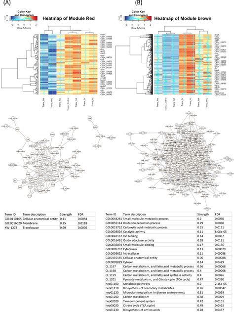 Figures And Data In Merging Multi Omics With Proteome Integral
