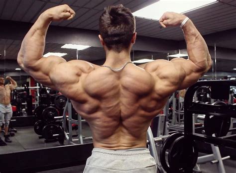 Упражнения в тренажерном зале для тренировки верхней части спины Lets Fit