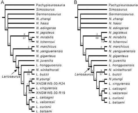 Strict Consensus Trees Resulting From The Phylogenetic Analyses Of Download Scientific Diagram