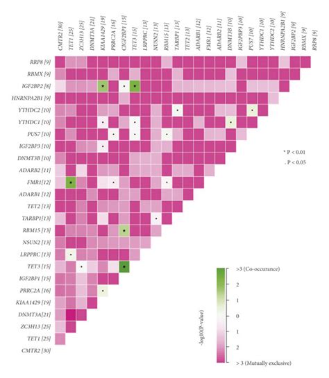 The Mutation And Dysregulation Of Eight Types Of Rna Modification Download Scientific Diagram