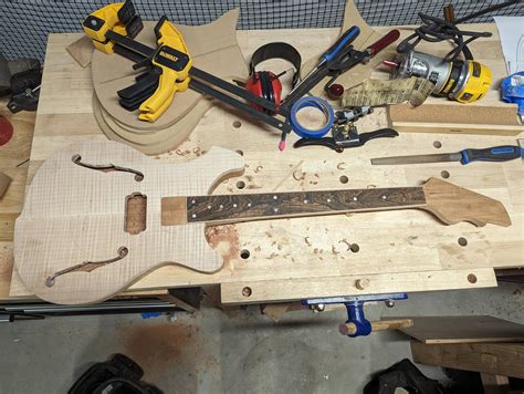 Progress Update R Luthier