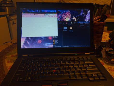 Thinkpad Running Debian R Thinkpad