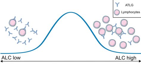 Graphical Representation Of The Underlying Hypothesis Tested Download Scientific Diagram
