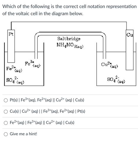 solved which of the following is the correct cell notation