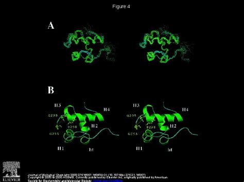 The Structure And The Characteristic Dna Binding Property
