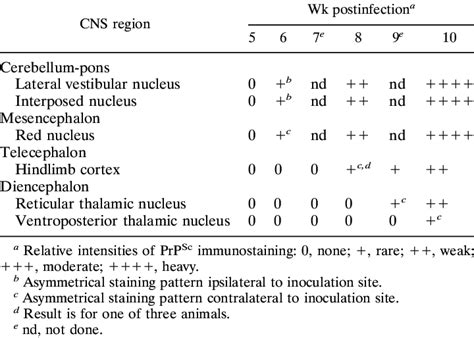 Spatial And Temporal Distribution Of Prp Sc Following Sciatic Nerve Download Table