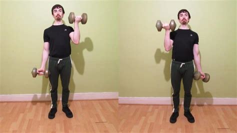 Alternating Dumbbell Curl Tutorial Standing And Seated