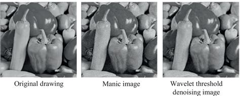 Comparison Of Gray Images Before And After Wavelet Threshold Denoising Download Scientific Diagram