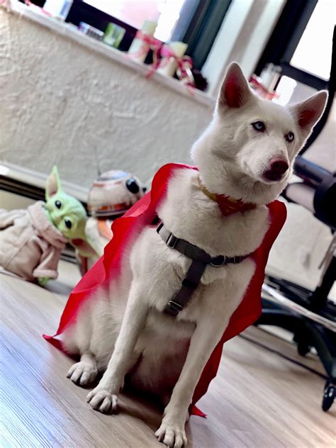 Stormy As Krypto R Krypto
