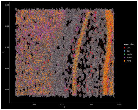 Analysis Of Image Based Spatial Data In Seurat • Seurat