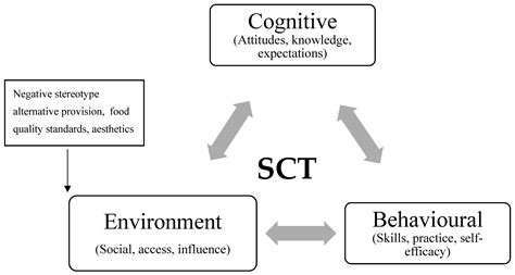 Cognitive Theory