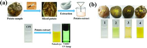 A Schematic Diagram For Estimation Of NH 3 In Potato Samples Using