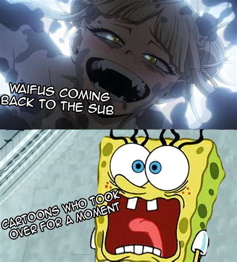 Waifus Are Better Ranimemes