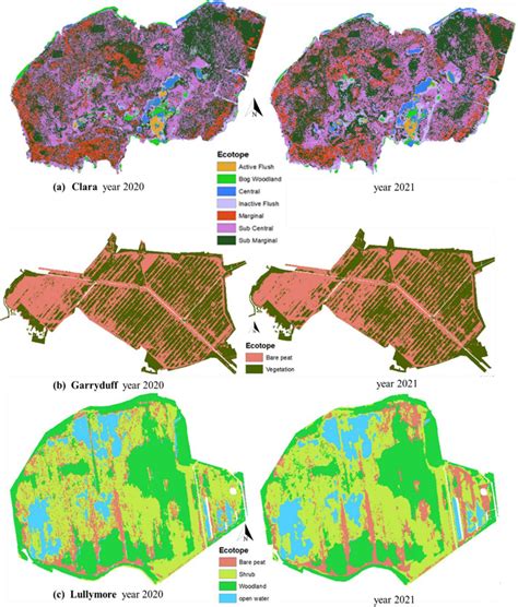 Annual Ecotope Maps For Years 2020 And 2021 At A Clara Bog B