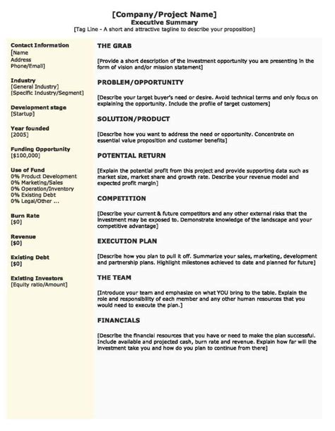 43 Free Executive Summary Templates In Word Excel PDF