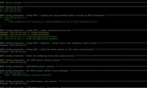 Devops Series Setup Oracle Acfsasm Cluster File System On Oracle 19c