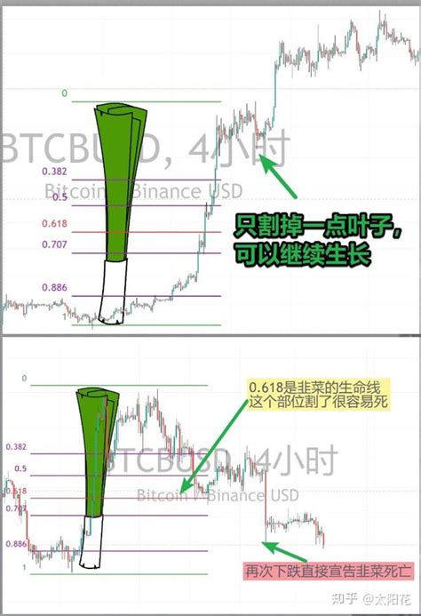 斐波拉契为什么这么神奇 知乎