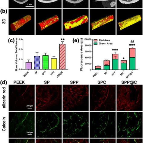 2d Reconstruction Micro Ct Of Samples A And 3d Reconstruction Download Scientific Diagram