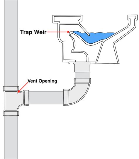Types Of Toilet Traps At Lucy Via Blog