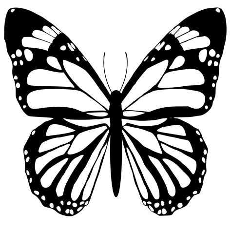 Butterfly Black And White 24134738 Png