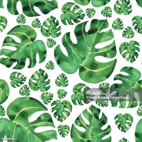 몬스터 필로딘드론 매끄러운 패턴 흰색 배경에 열대 정글 녹색 몬스터 잎 수채화 손 그리기 그림 카드 포스터 배너 벽지에