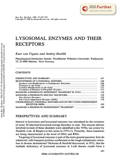 Lysosomal Enzymes Pdf Endoplasmic Reticulum Lysosome