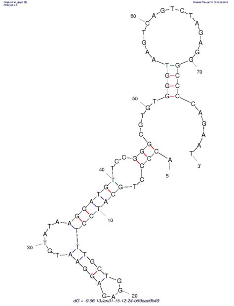 Bacillus Anthracis Spores Ba