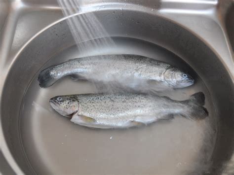 How To Wash Fish To Remove Smell Masala Tv
