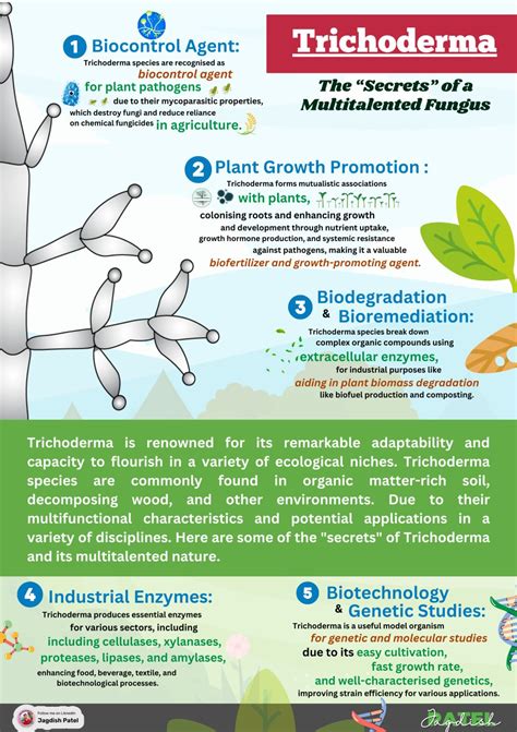 Jagdish Patel On Linkedin Trichoderma Fungus Multitalentedfungus Adaptablefungus… 28 Comments