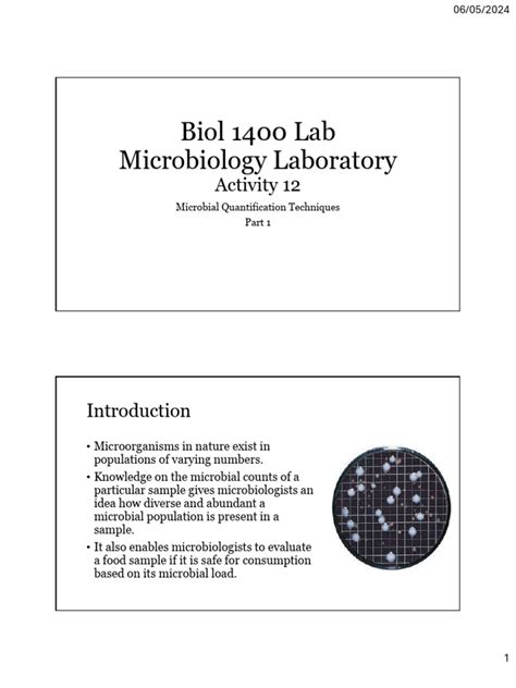 Activity 12 Microbial Quantification Part 1 Pdf Colony Forming Unit