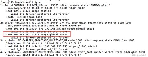 Nginxkeepalived实现高可用负载群集 Csdn博客